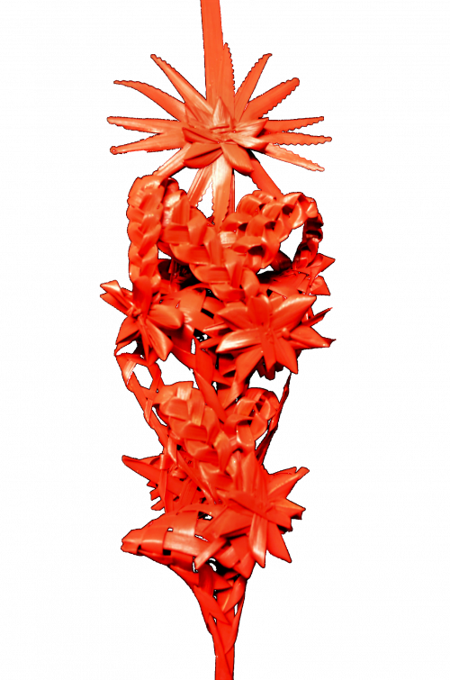 Palma color nº2 - Palmas Blancas Online